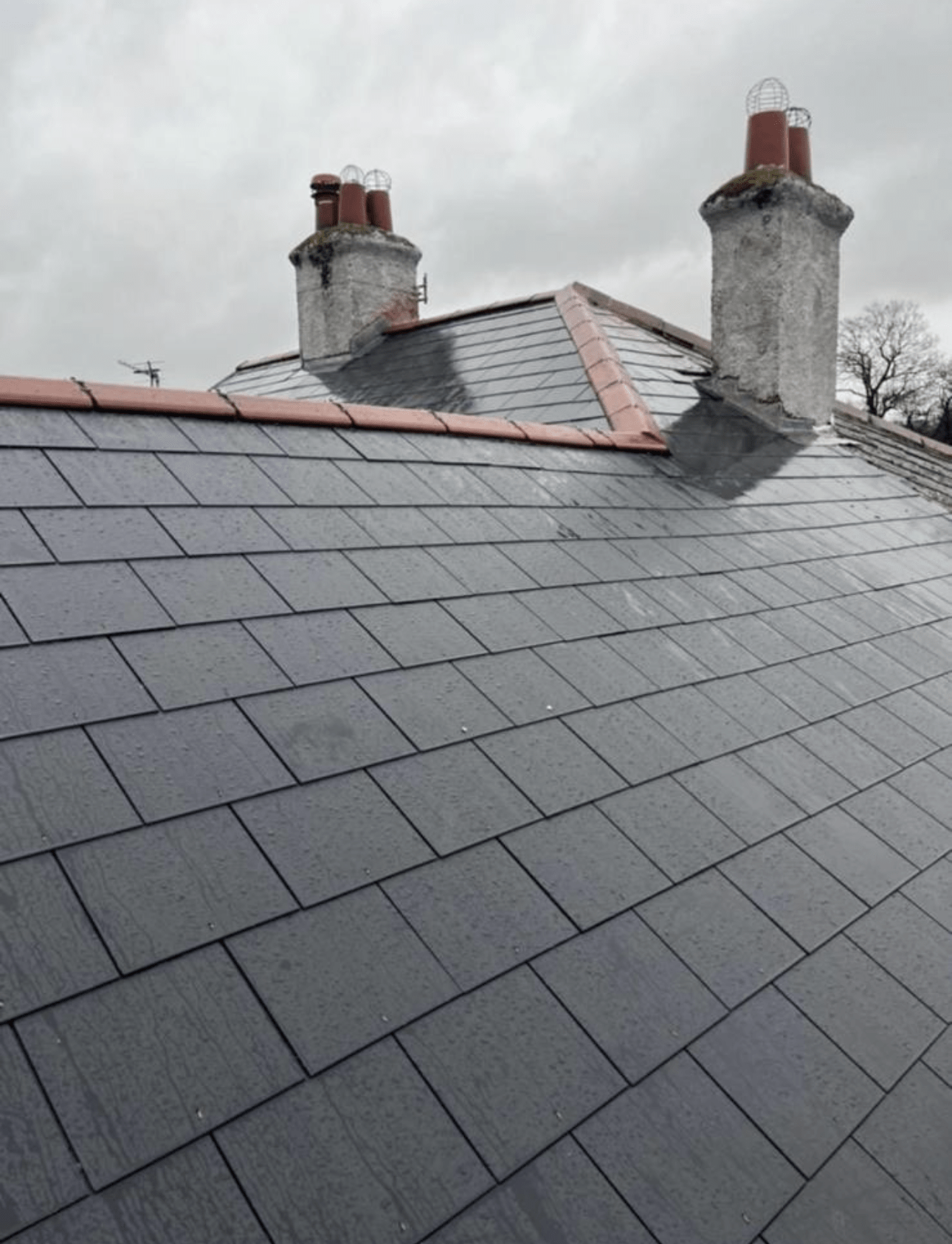 Home - Avant Roofing